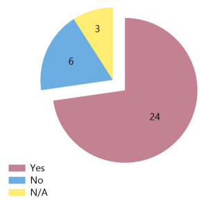 Stocktake of financial authorities’ experience in including physical ...