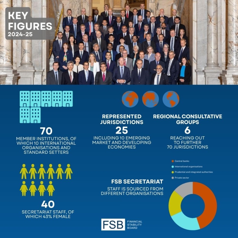 FSB Annual Financial Report: 2024-25 - Financial Stability Board