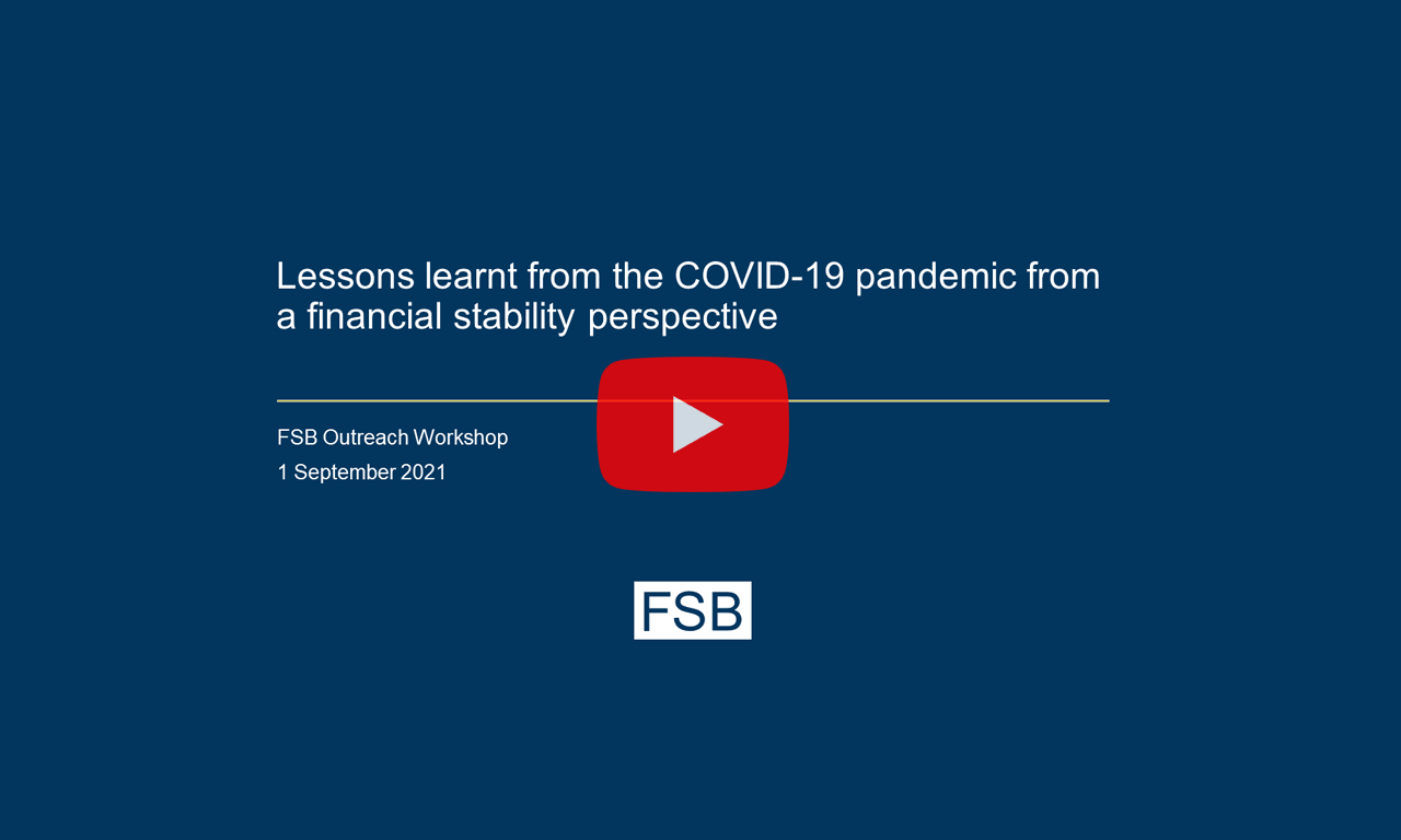 Virtual workshop on the lessons learnt from the COVID-19 pandemic from ...